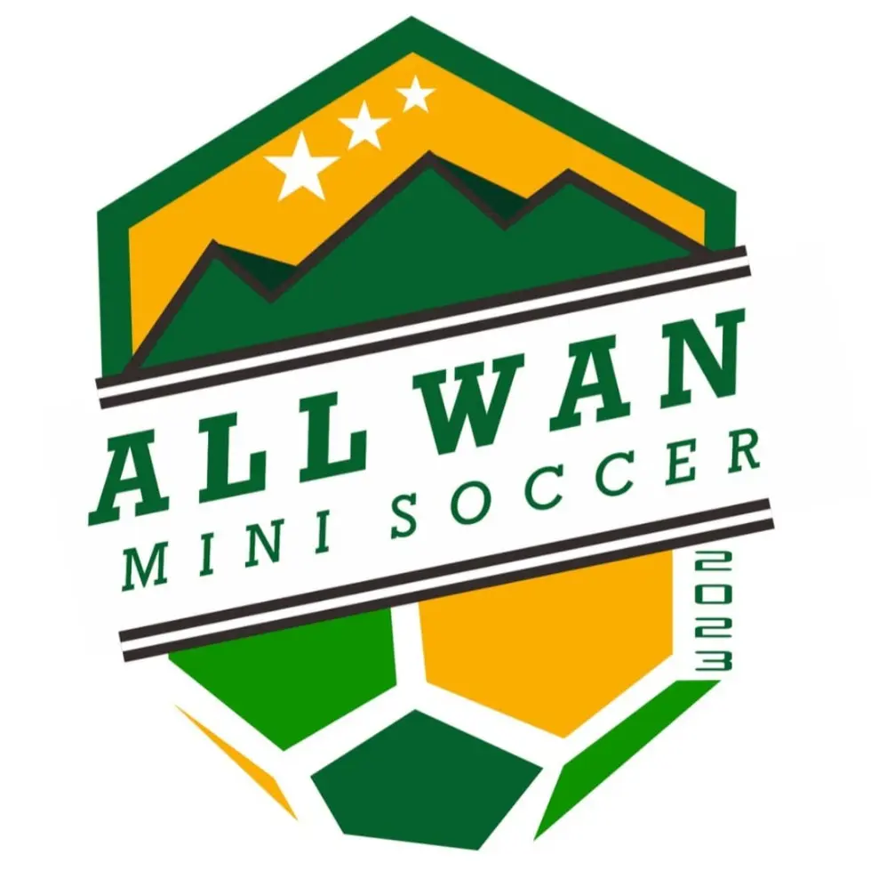 ALLWAN Mini Soccer